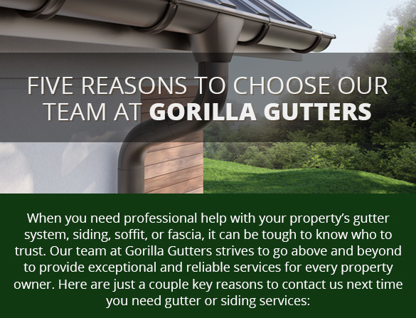 Five Reasons to Choose Our Team at Gorilla Gutters [infographic ...